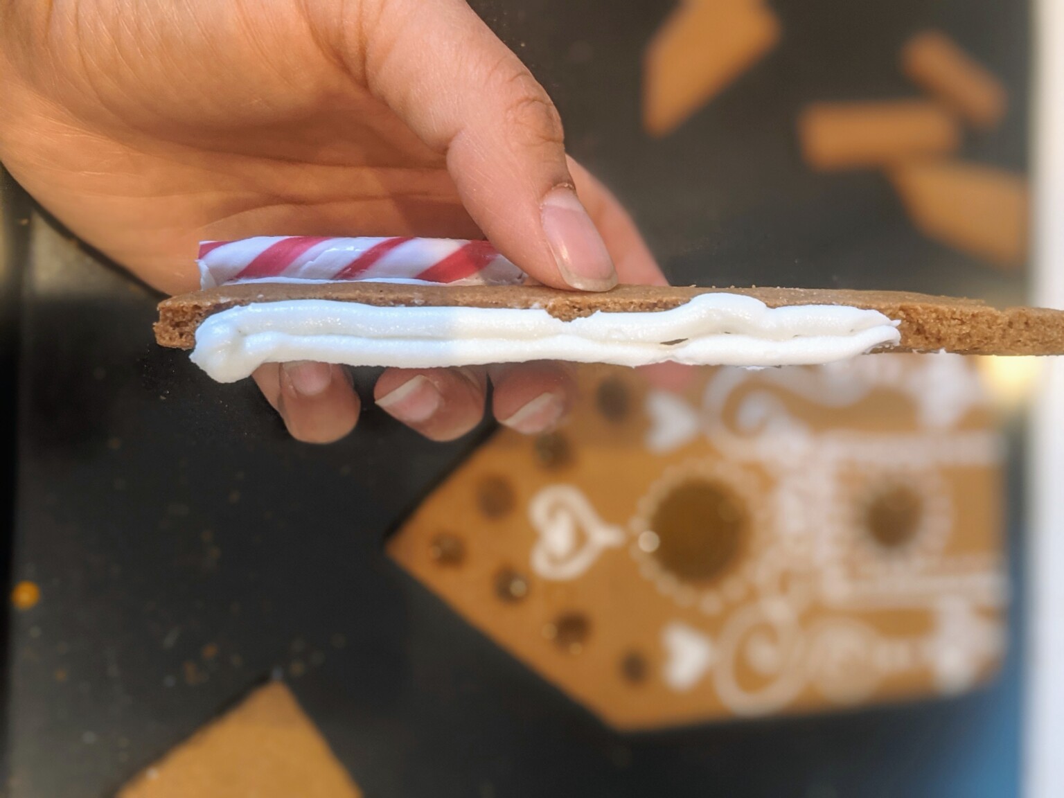 Top 10 Tips for the perfect Gingerbread House! – B Bakes London